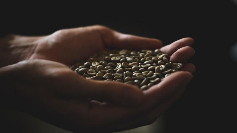 What You Need to Know About Green Beans Coffee Sampling - Buah Berdikari