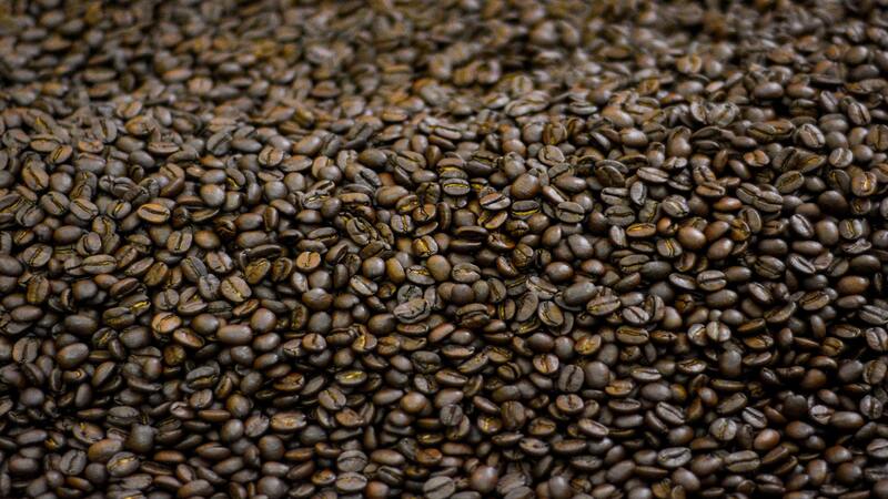 What You Need to Know About Green Beans Coffee Sampling - Buah Berdikari